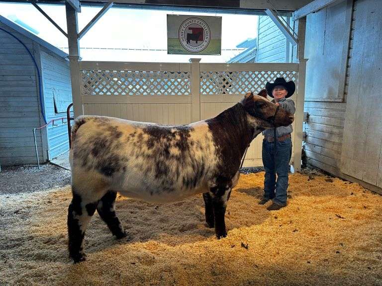 Brock Fox Seneca County Jr Beef - Breeders World