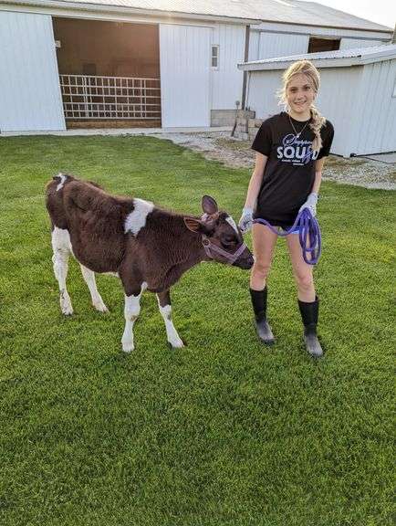 Addison` Theis New Riegel Rawhide & Woolies - Breeders World