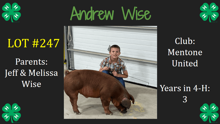 Andrew Wise Mentone United - Breeders World