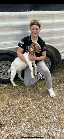 Ava Hall Four Beats - Breeders World