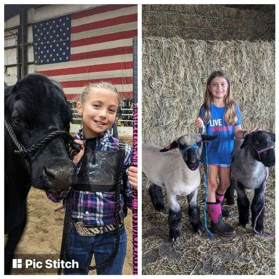 Carrie Gahler Country Slickers - Breeders World