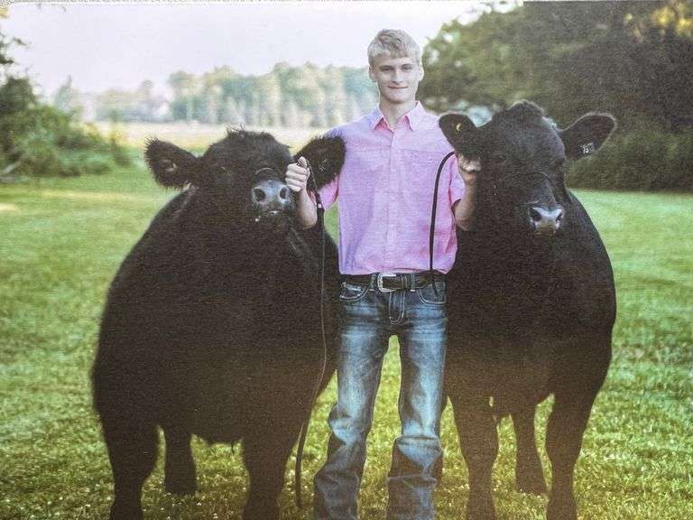 Tyler Link Dairy Maids and Gents - Breeders World