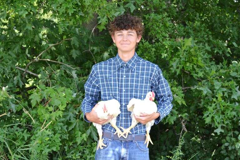 Anthony Forthofer Born In A Barn 4H Club & Firelands FFA - Breeders World