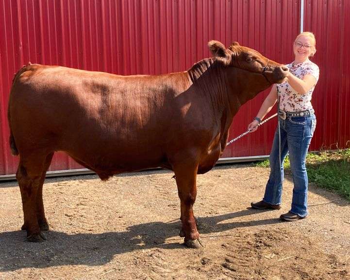 Brooke Taylor Breeders & Feeders - Breeders World