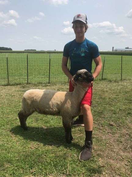 Jacob Geier St. Henry Buckeye Lassies and Lads - Breeders World