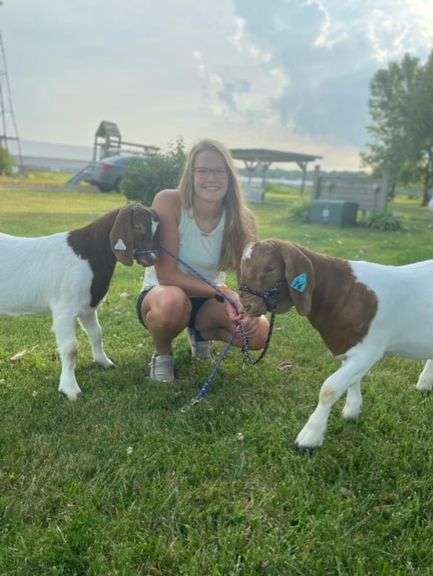 Julia Sheets Washington Winners - Breeders World