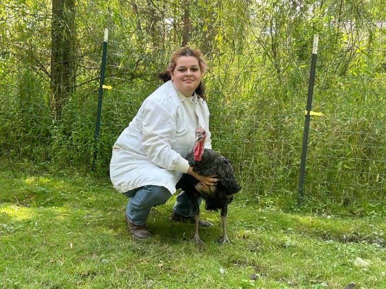 Lily Cawley LoCo Kids 4H Club - Breeders World