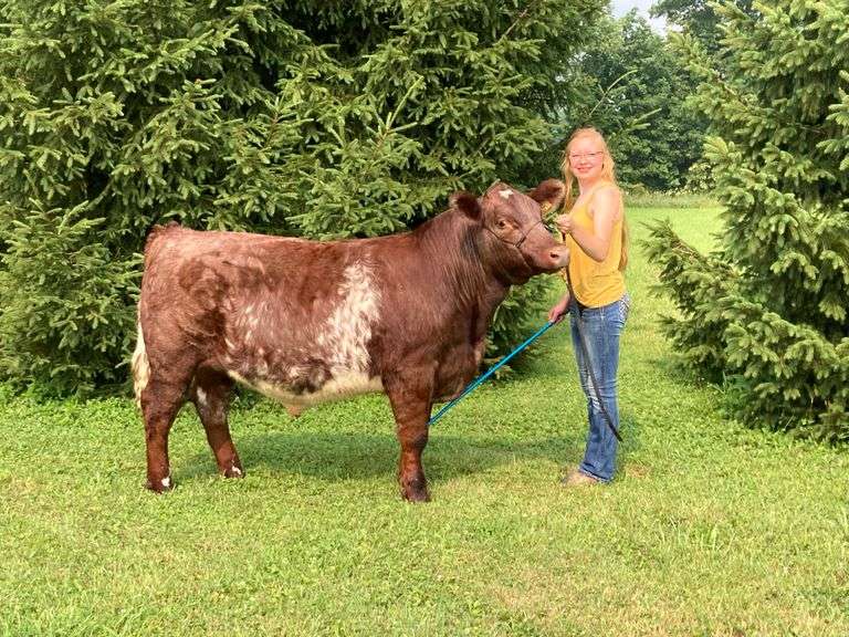 Avery Taylor Breeders & Feeders - Breeders World