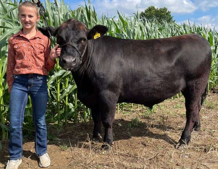 Hailey Mitchell Geauga Beef and Swine - Breeders World