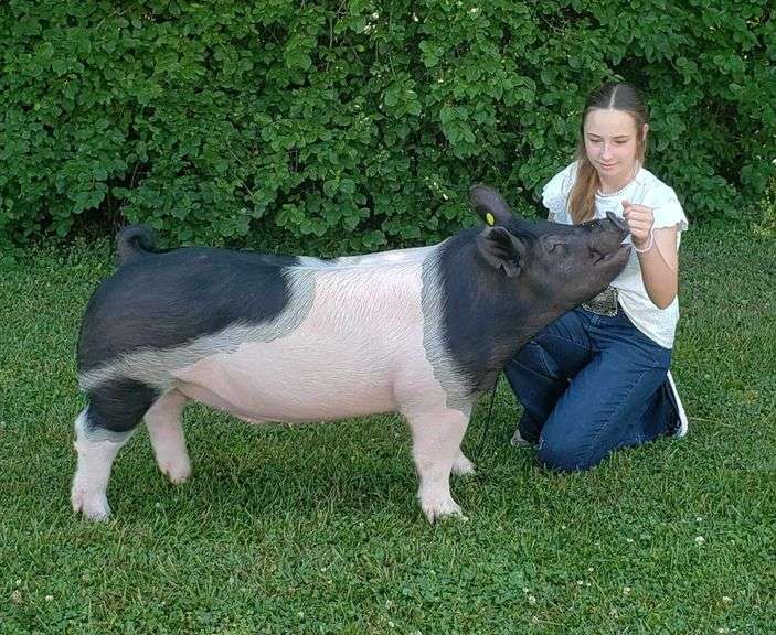 Emily Kiser Born In A Barn 4H Club - Breeders World