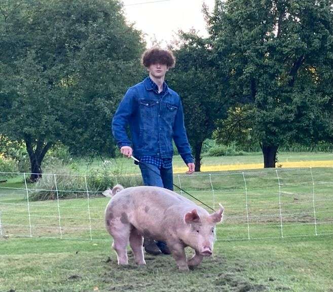 Matthew Bednar Firelands FFA - Breeders World
