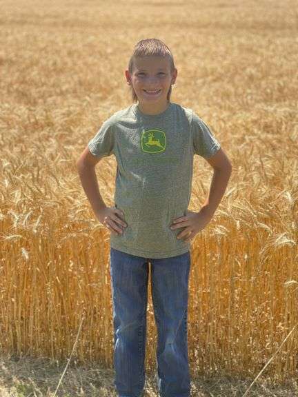 Anderson Tallman Norwich Fun Bunch - Breeders World