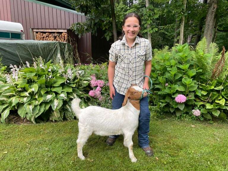 Molly Tansey Shining Clovers - Breeders World