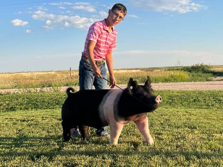 Trey Cook Pleasant View 4-H Club / Kimball FFA - Breeders World