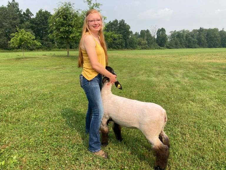 Avery Taylor Breeders & Feeders - Breeders World