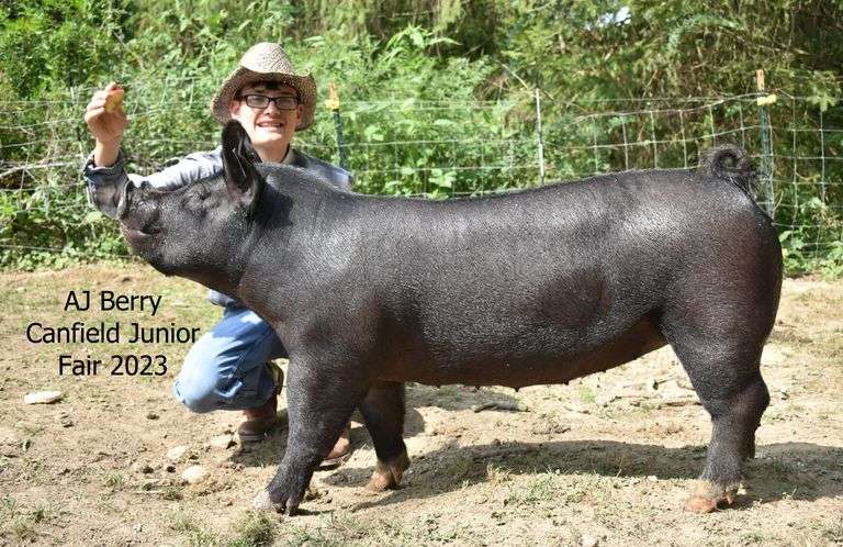 Anthony Berry - Canfield Fair