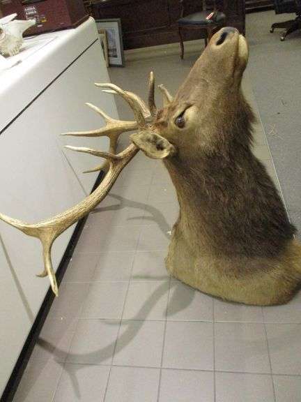 Elk Mount - Prime Time Auctions, Inc.