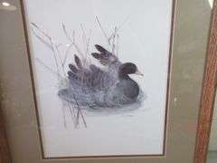 Framed Bird Pictures - Prime Time Auctions, Inc.