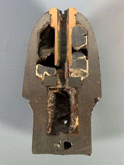 Cross Section of Hotchkiss Shell, Cut in Half Down Entire Length of ...