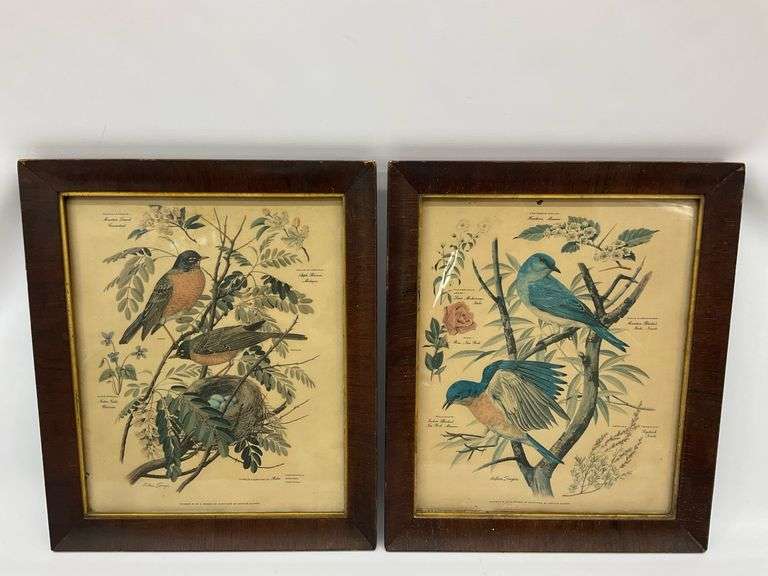 Set of 2 Bird Paintings by Arthur Singer - Coastal Downsizing LLC