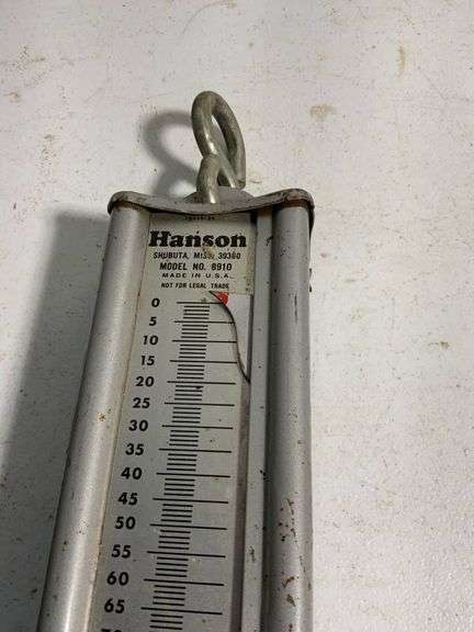 Hanson Model 8910 Hanging Scale - Coastal Downsizing LLC