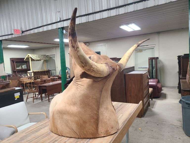 Impressive large taxidermy bull mount - Dixon's Auction at Crumpton