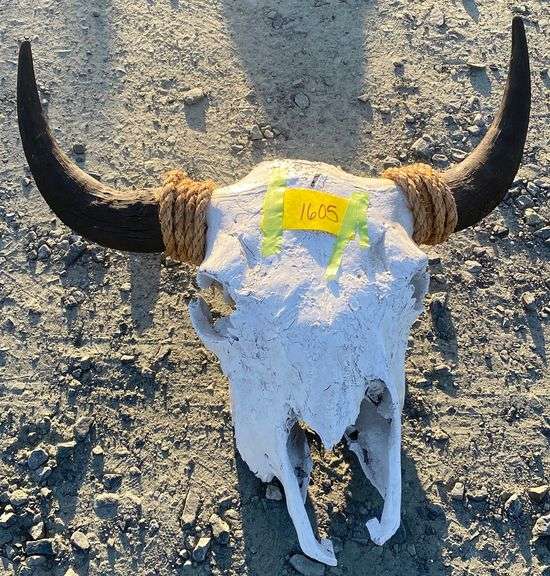 country skull decor - Dixon's Auction at Crumpton