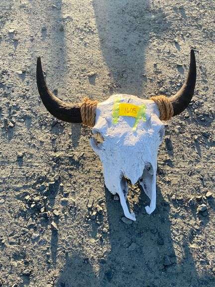 country skull decor - Dixon's Auction at Crumpton