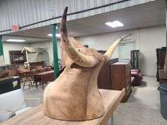 Impressive large taxidermy bull mount - Dixon's Auction at Crumpton
