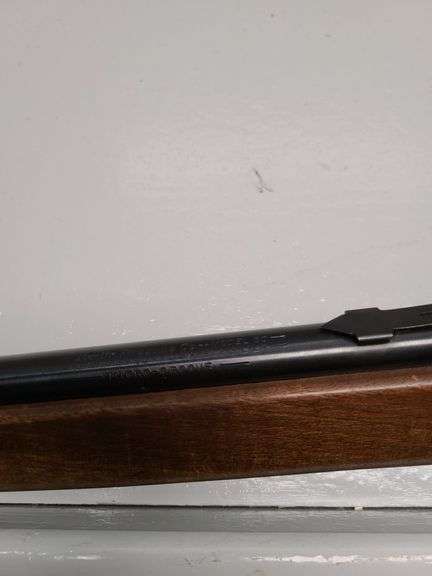 "REGULATED" MARLIN MODEL M80 RIFLE OFFERED IN 22 LR {2305} - Dixon's ...