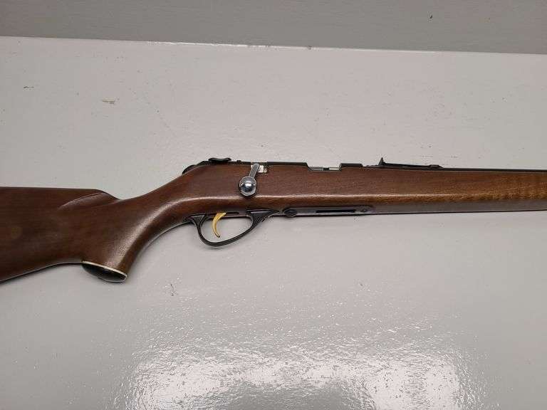 "REGULATED" MARLIN MODEL M80 RIFLE OFFERED IN 22 LR {2305} - Dixon's ...