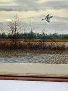 William Tyner watercolor waterfowl painting - Dixon's Auction at Crumpton