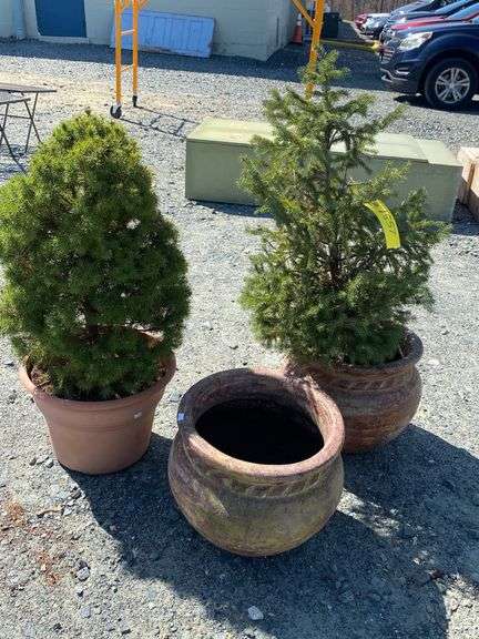 2 Pottery Planters With Plants + 1 Plastic Pot - Dixon's Auction at ...