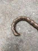 Antique Gnarled Wood Walking Stick - Dixon's Auction at Crumpton