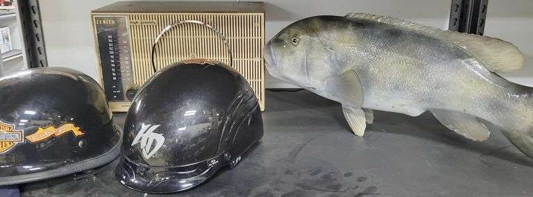 Lot Motorcycle Helmets, Fish Mount, Vintage Radio - Dixon's Auction at ...