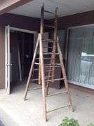 12' Extension Ladder - Duck Soup Auctions