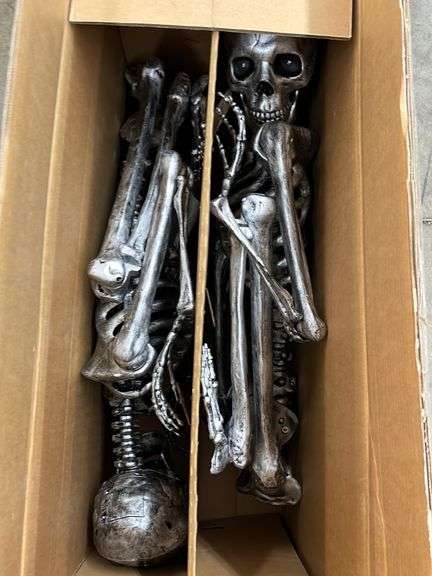 2PC ANIMATED SKELETON DECOR IN BOX - Earl's Auction Company