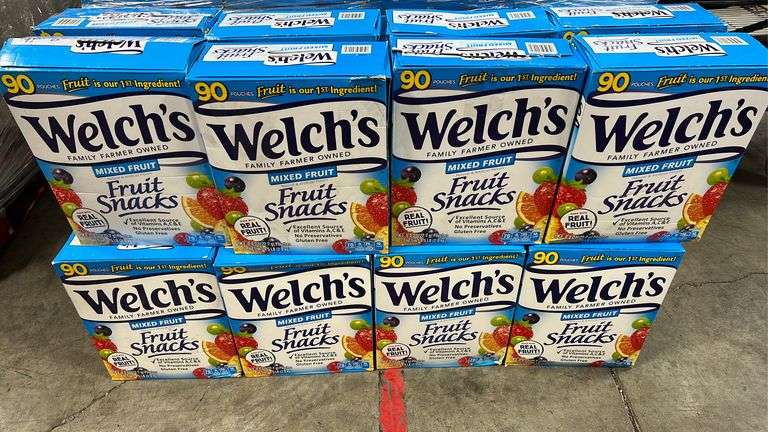 (16) BOXES OF WELCH'S FRUIT SNACKS (90 POUCHES PER BOX) - Earl's ...