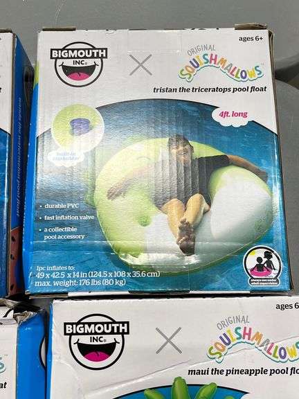 (5) SQUISHMALLOW POOL FLOATS IN BOXES - Earl's Auction Company