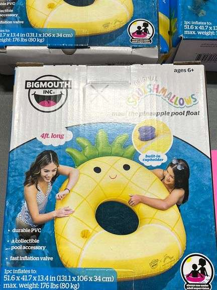 (5) SQUISHMALLOW POOL FLOATS IN BOXES - Earl's Auction Company