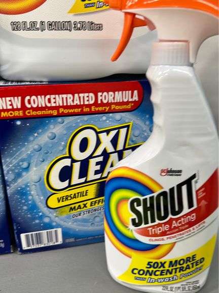 (3) BOXES OF OXI CLEAN & (2) GALLONS OF SHOUT W/ SPRAY BOTTLE - Earl's ...