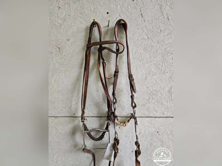 Leather Bridle w/ Curb Bit - Eugene Equipment Auction