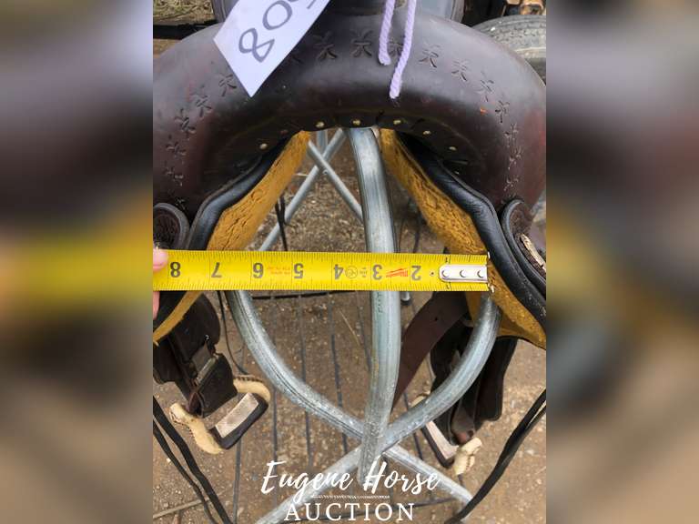 Circle Y flex tree - Eugene Horse Auction