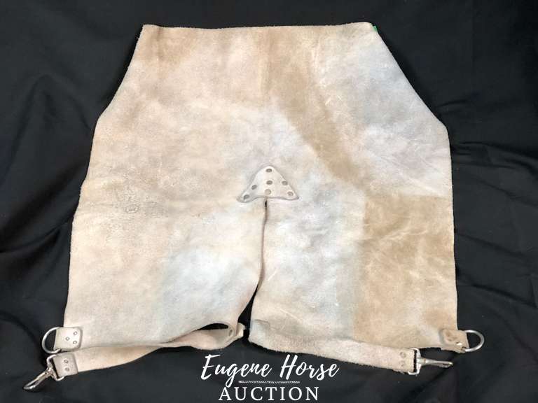 Hay, work, or shoeing chaps. - Eugene Horse Auction
