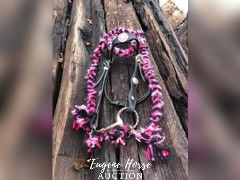 Tag #776 Black/hot pink pony tack set. Leather headstall & breastcollar ...