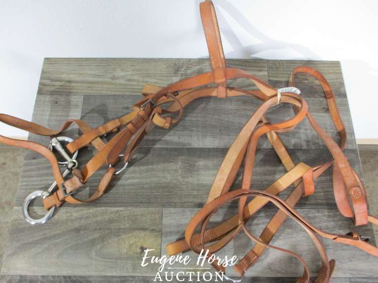 Tag #45 Snaffle bit Bridle w/reins - Eugene Horse Auction