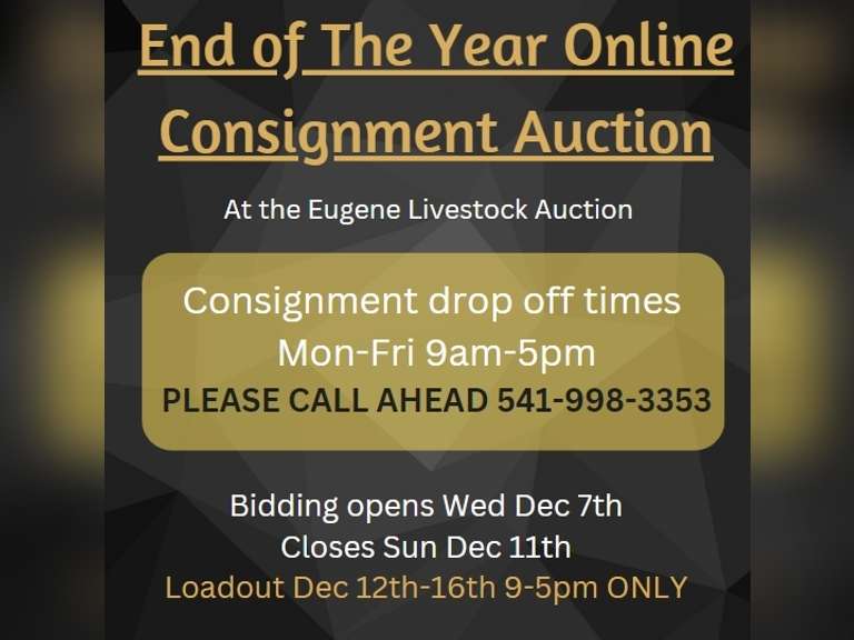 End of the Year Online Only Consignment Auction - Eugene Horse Auction