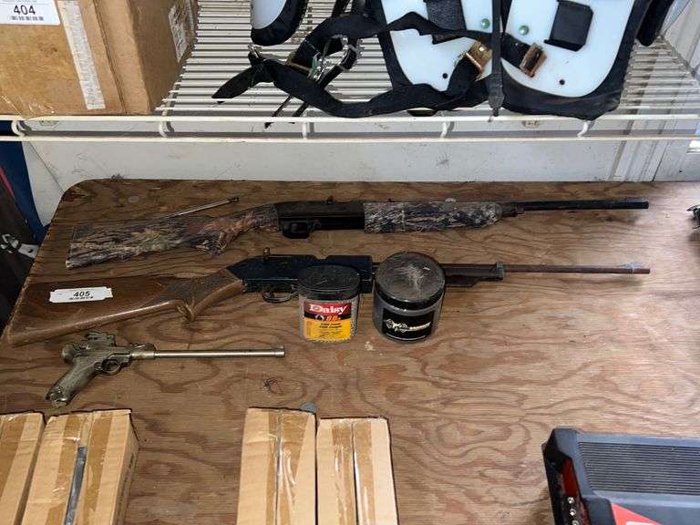 Bee bee guns - Auction Services LTD