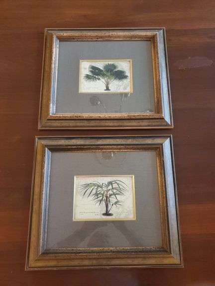 Prints by Jacob Stauffer - Pears and their Parts - Auction Services LTD