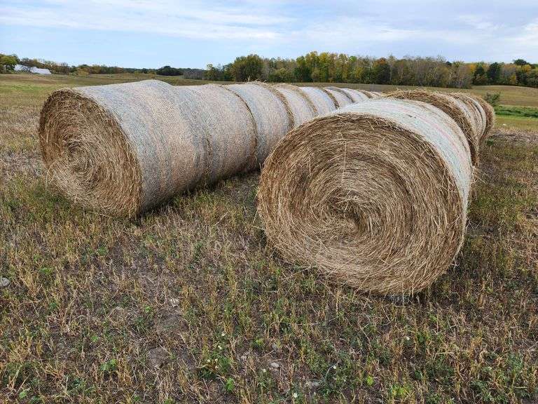 (16) Meadow Hay Bales, 4x5, Net wrapped - Fragodt Auction and Real ...